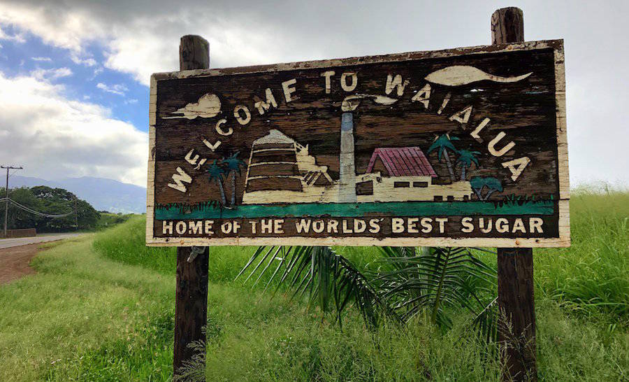 Honolulu Airport to Waialua - Best Way to Get There