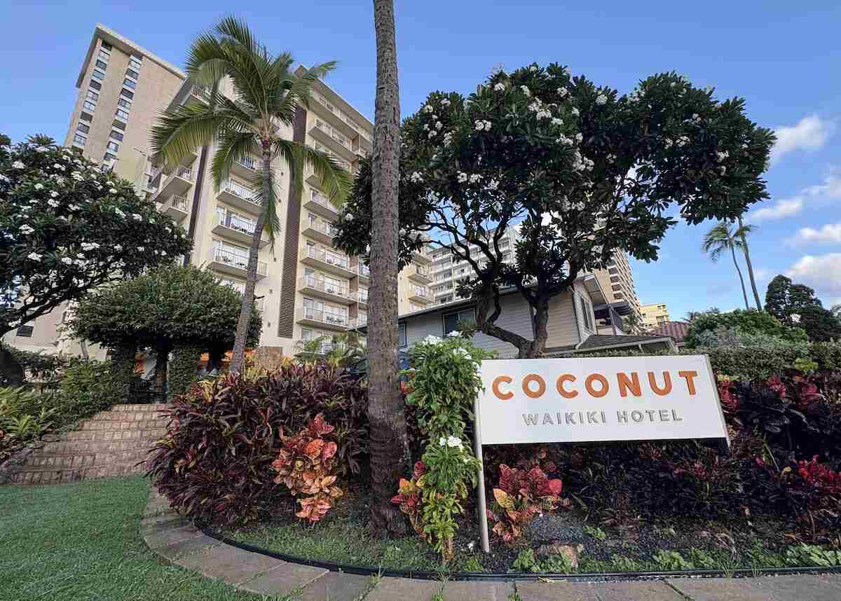 Twin Fin Airport Shuttle Archives - Honolulu Airport Transfer